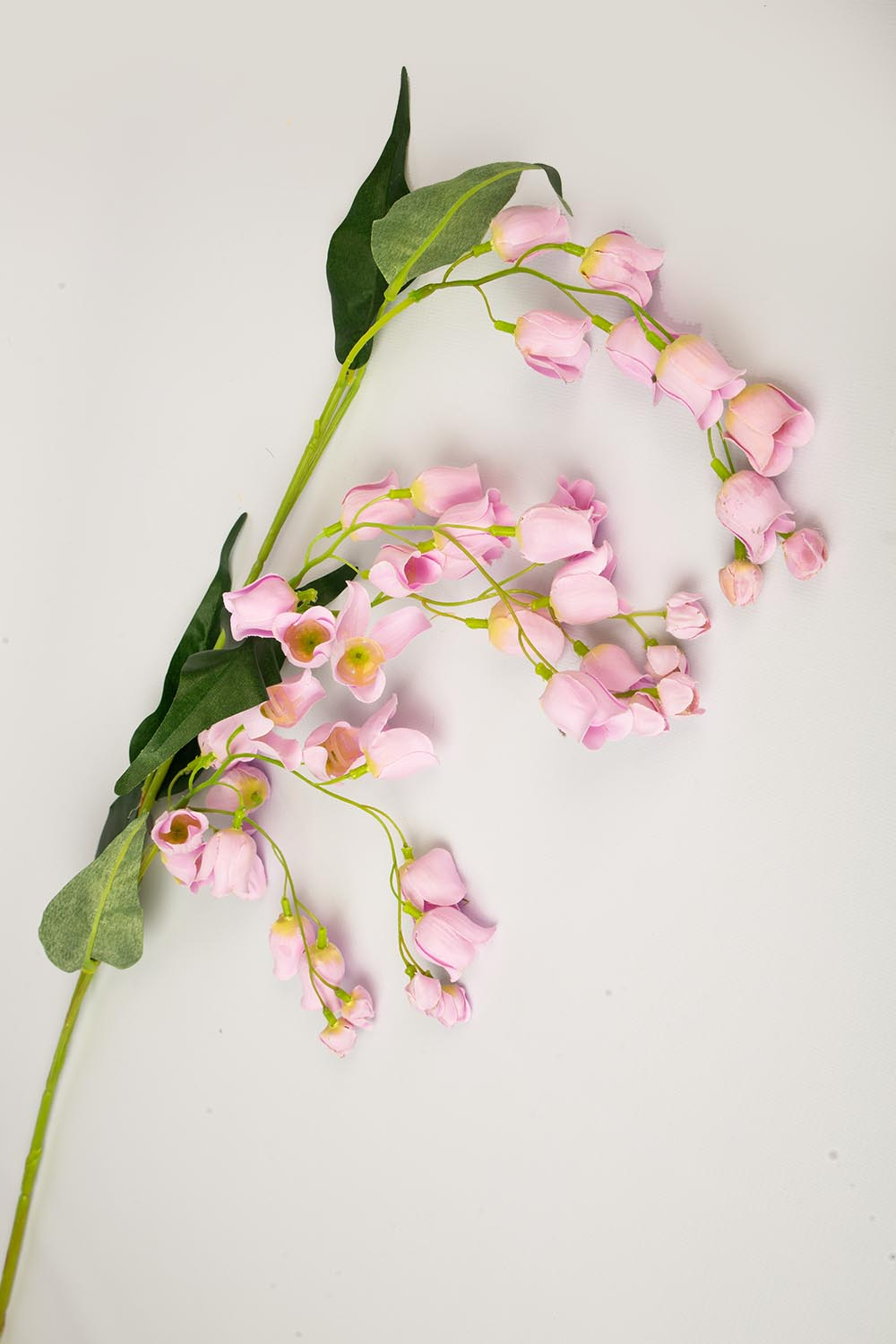 Odel Purple Bell Flower Stem | Odel.lk