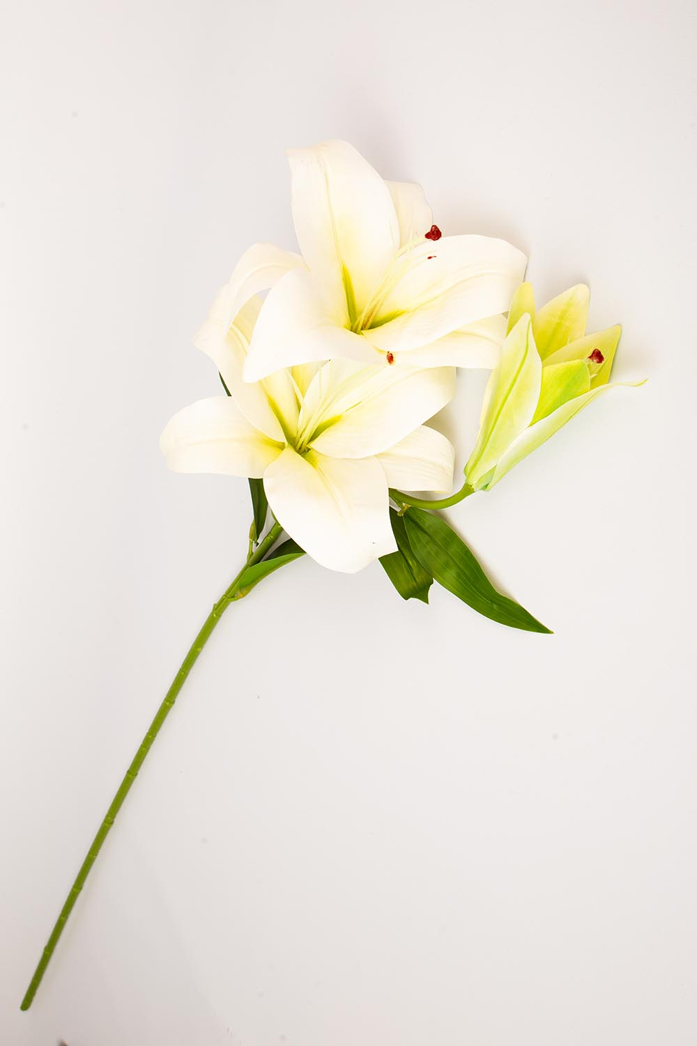 Odel White Lily Flower Stem | Odel.lk