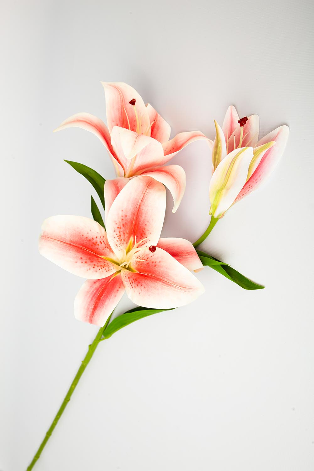 Odel Pink Lily Flower Stem | Odel.lk