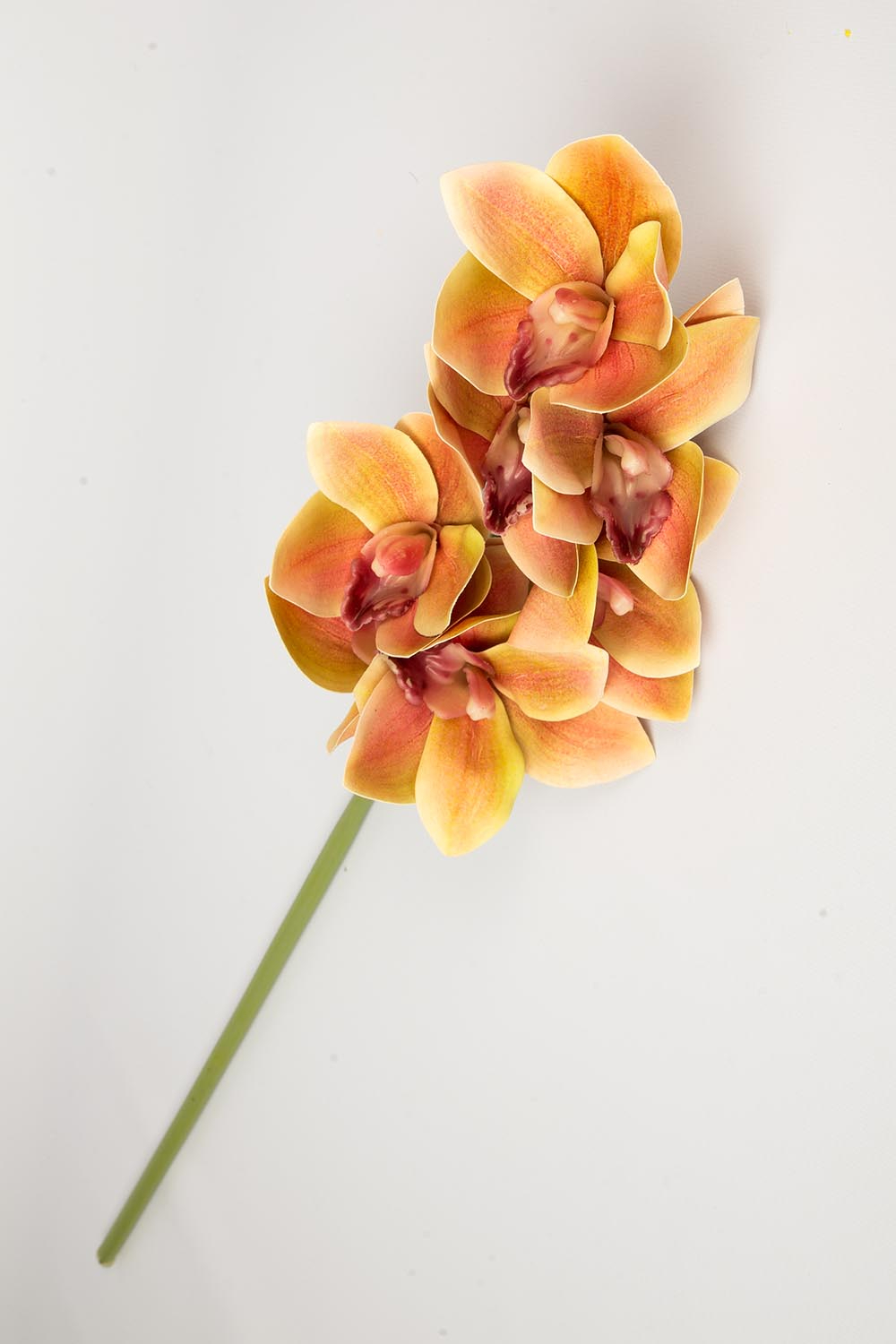 Odel Yellow Whelan Flower Stem | Odel.lk