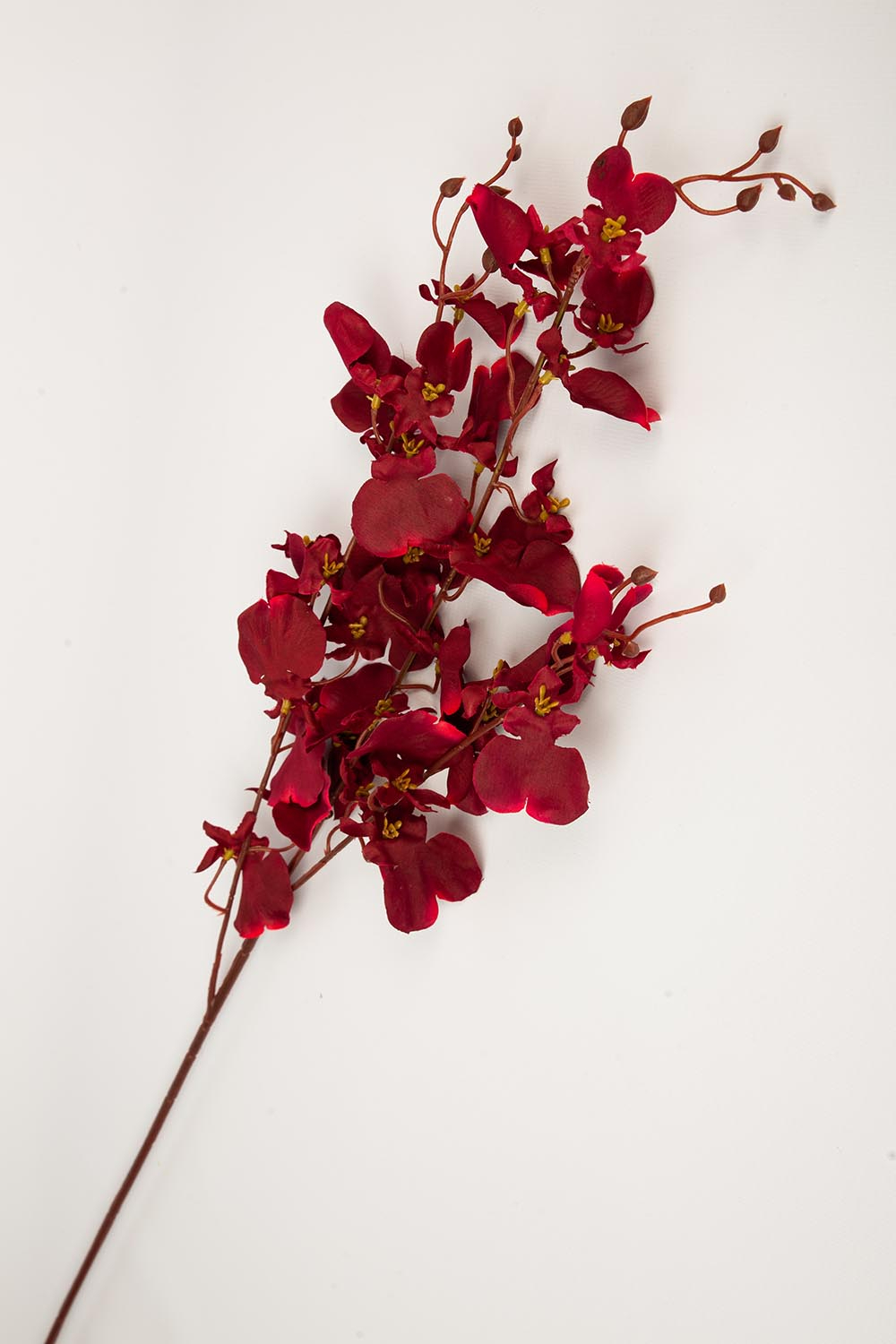 Odel Maroon Bud Stem | Odel.lk