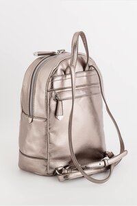 Carpisa Women Gunmetal Backpack | Odel.lk