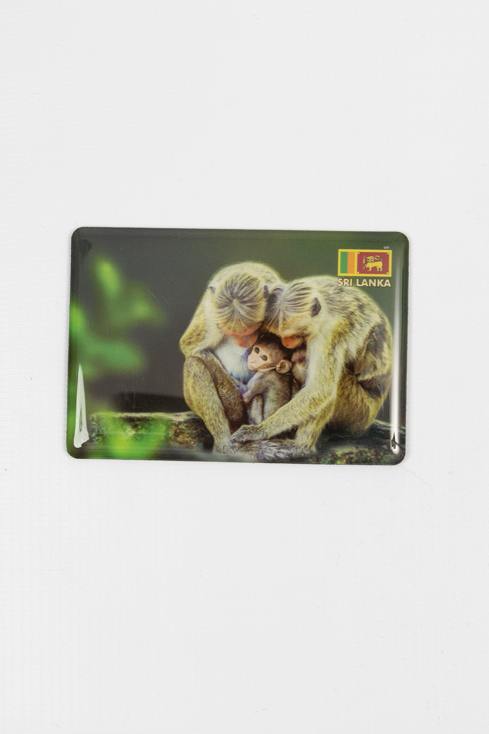 Luv Sl Sl Monkey Family Fridge Magnet | Odel.lk