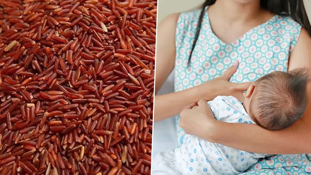 Red Rice Benefits: சிவப்பு அரிசியில் இவ்வுளவு நன்மைகளா?.. ஆண்களுக்கும் ...